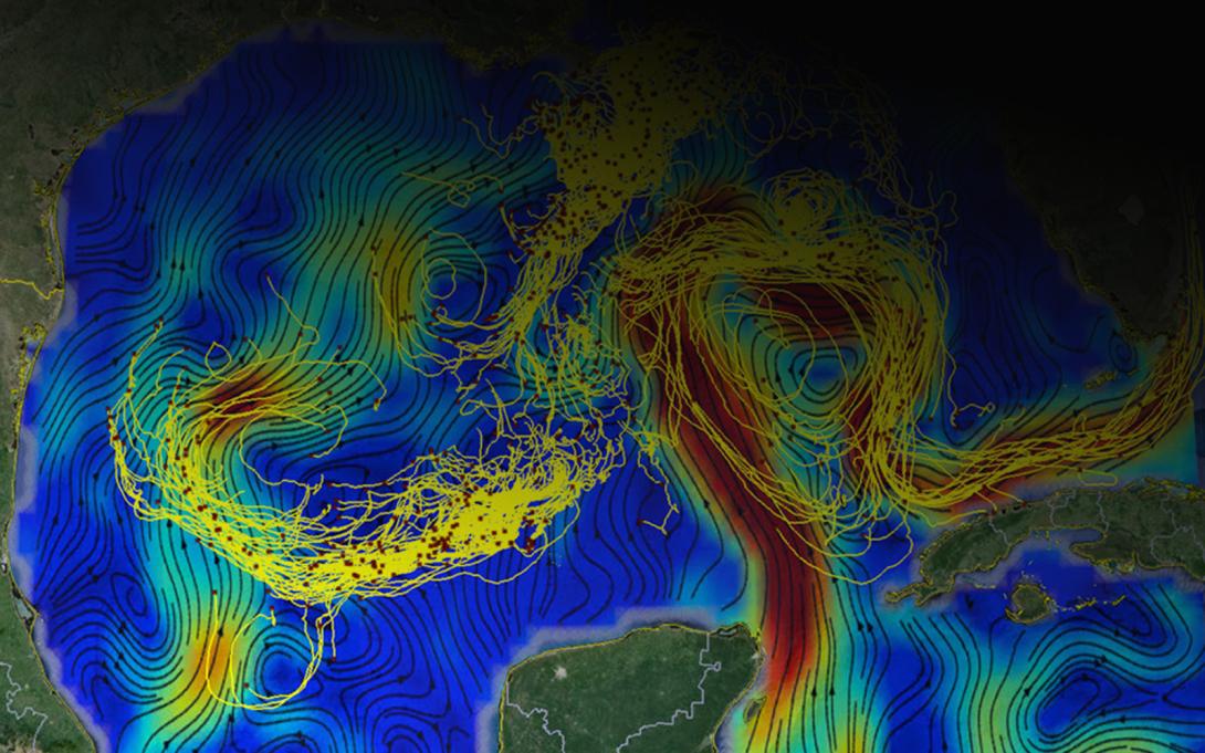 MIT Office of the Vice President for Research